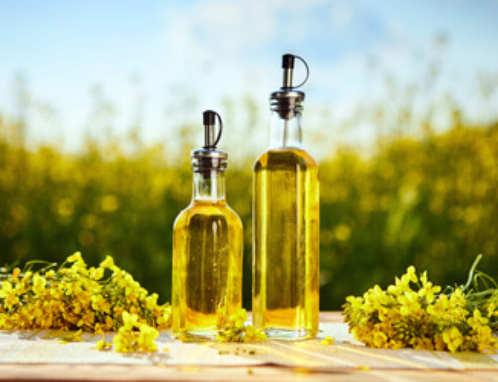 Defining the Organic Vegetable Oil Production Process | Spack International